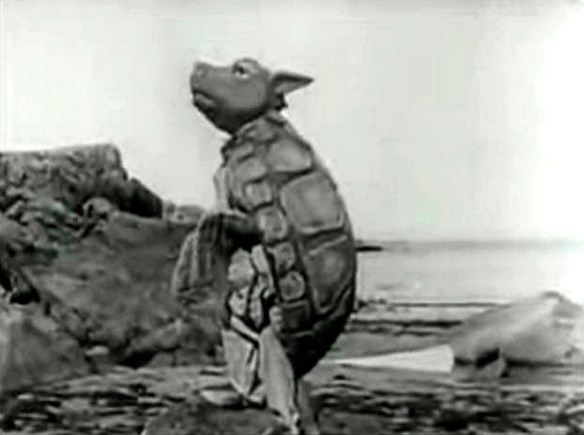 ShukerNature: MAKING A MOCKERY OF THE MOCK TURTLE NO LONGER ...