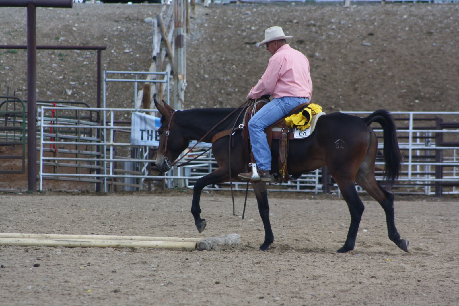 PairADice Mules: Jake Clark Mule Preview