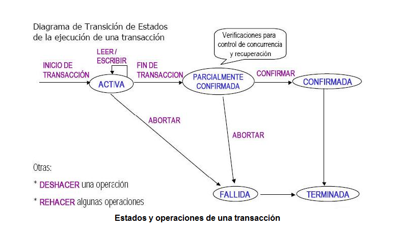 Taller de Base de datos: Transacciones