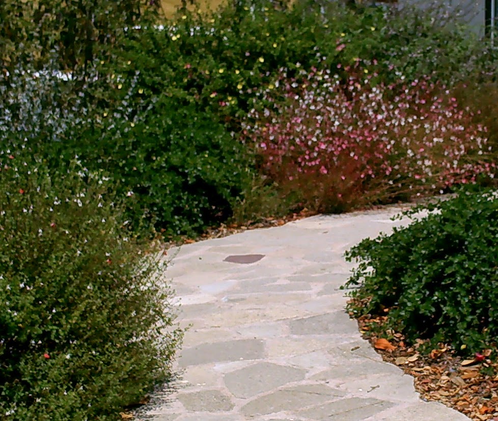 Fairy Yardmother Landscape Design: Broken Concrete/Urbanite Pathways