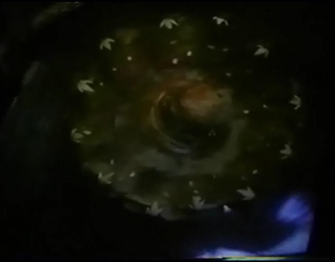 A Field Guide To Doomsday: Devastation Drive-In — 'Blood Beach' (1980)