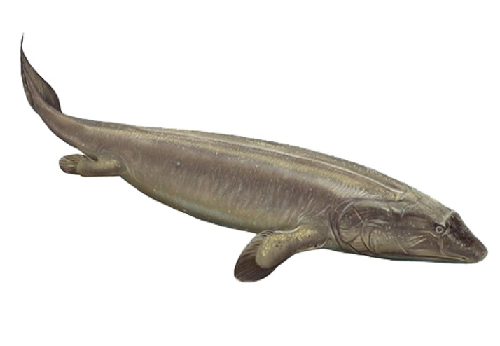 Outras Verdades Inconvenientes: De onde você (REALMENTE) veio?