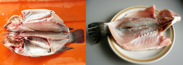 CHEF Q: Fish Cutting Method