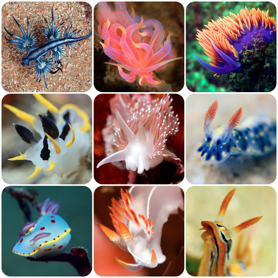 I'm Catching Fireflies: a BJD, art and fashion blog: Theme Thursday ...