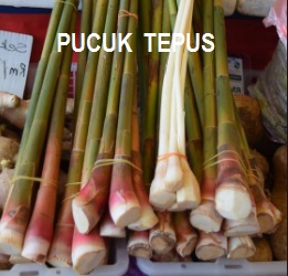 Anim Agro Technology: ULAM TEPUS - ULAM YANG ENAK!