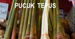 Anim Agro Technology: ULAM TEPUS - ULAM YANG ENAK!