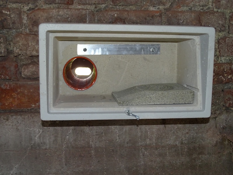 Action for Swifts: Internal Swift nest boxes in a Belgian school