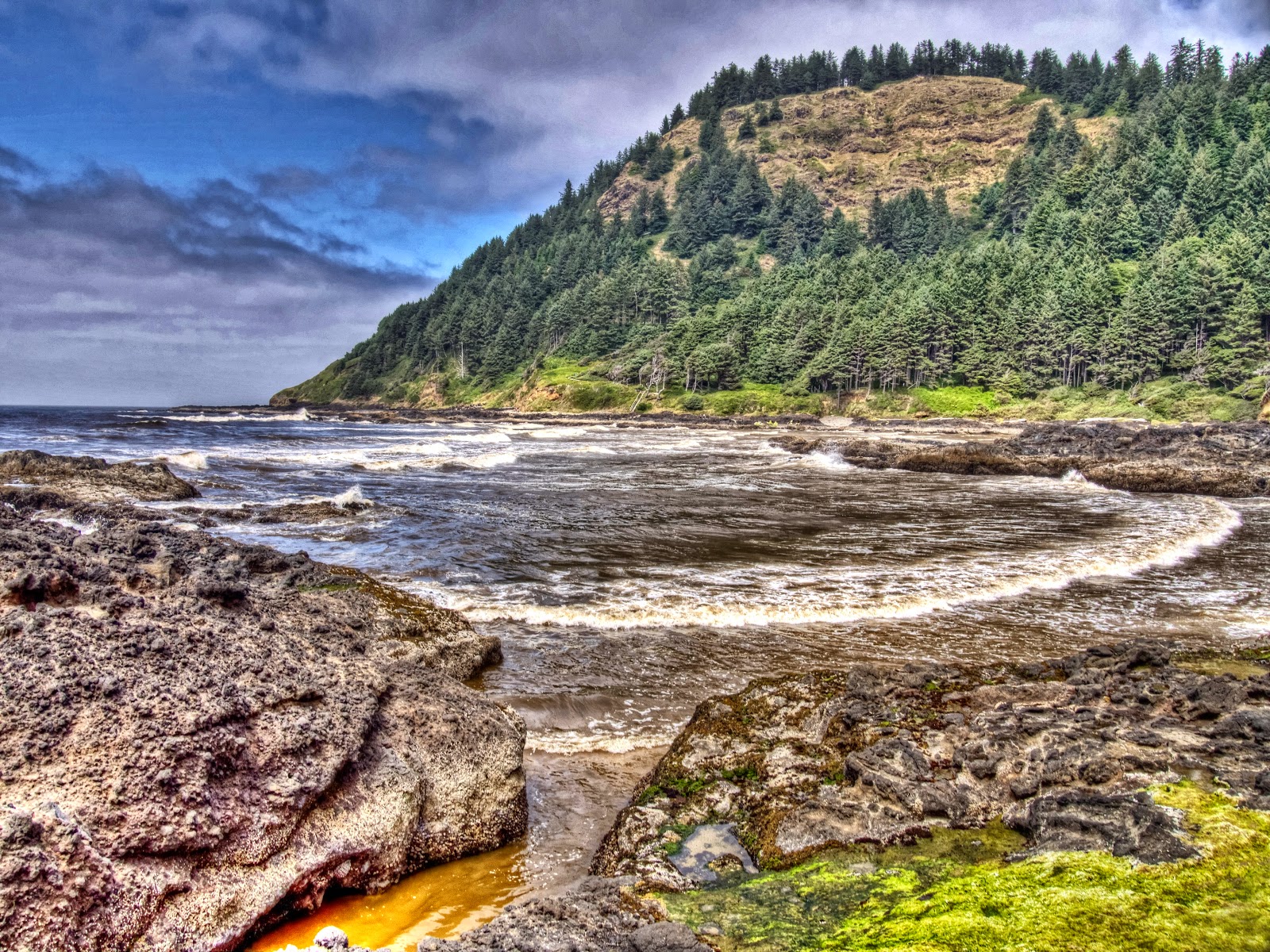 Thom Zehrfeld Photography : Cape Perpetua Oregon