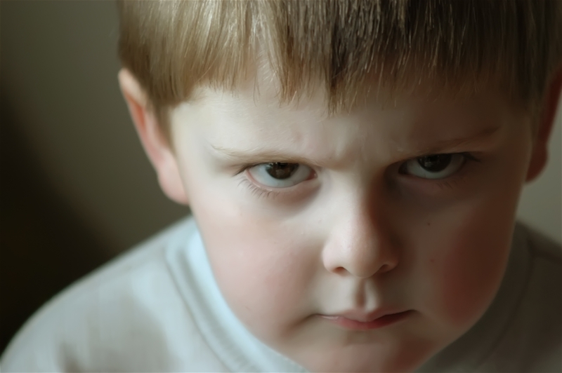 PreKandKSharing: Handling Aggressive Behavior in Young Children