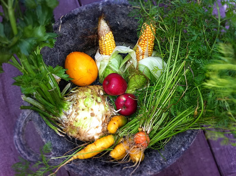 AOS: Der Herbst und die Pferdefütterung