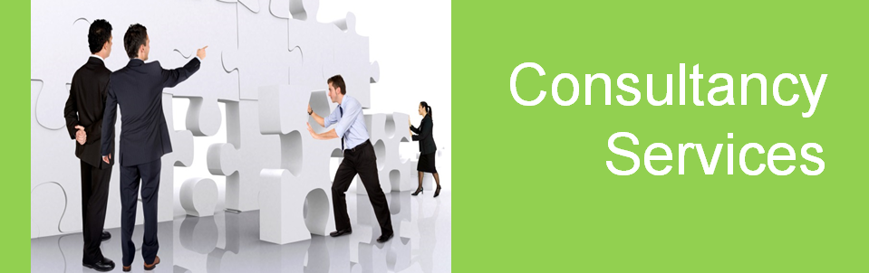 Consultancy Services