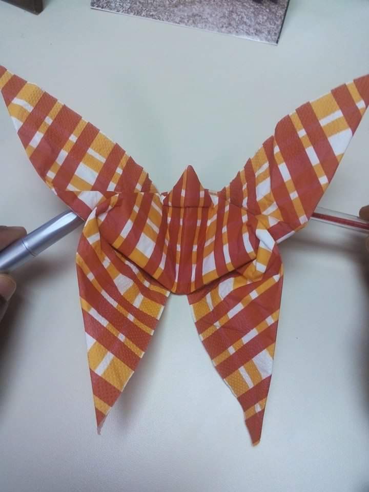 Paper Folding 1 (Butterfly)