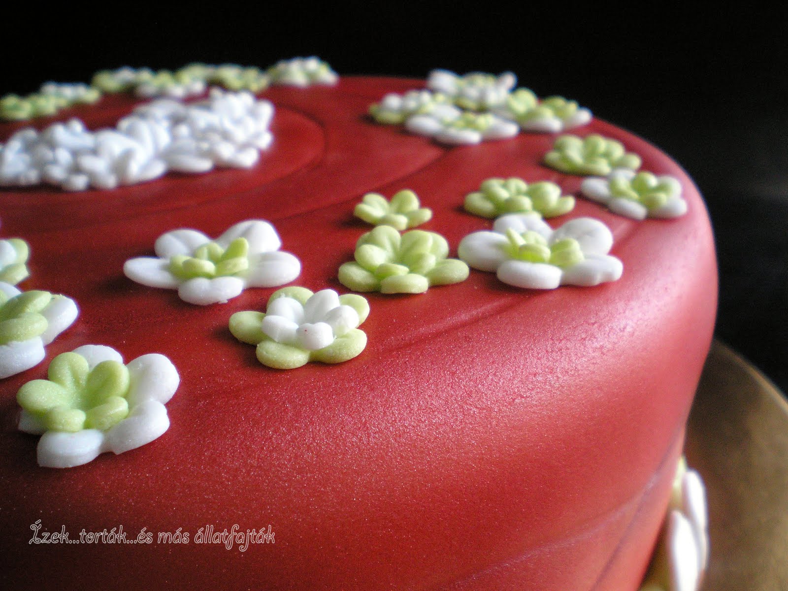 Ízek...torták...és más állatfajták: CSAK TORTÁK