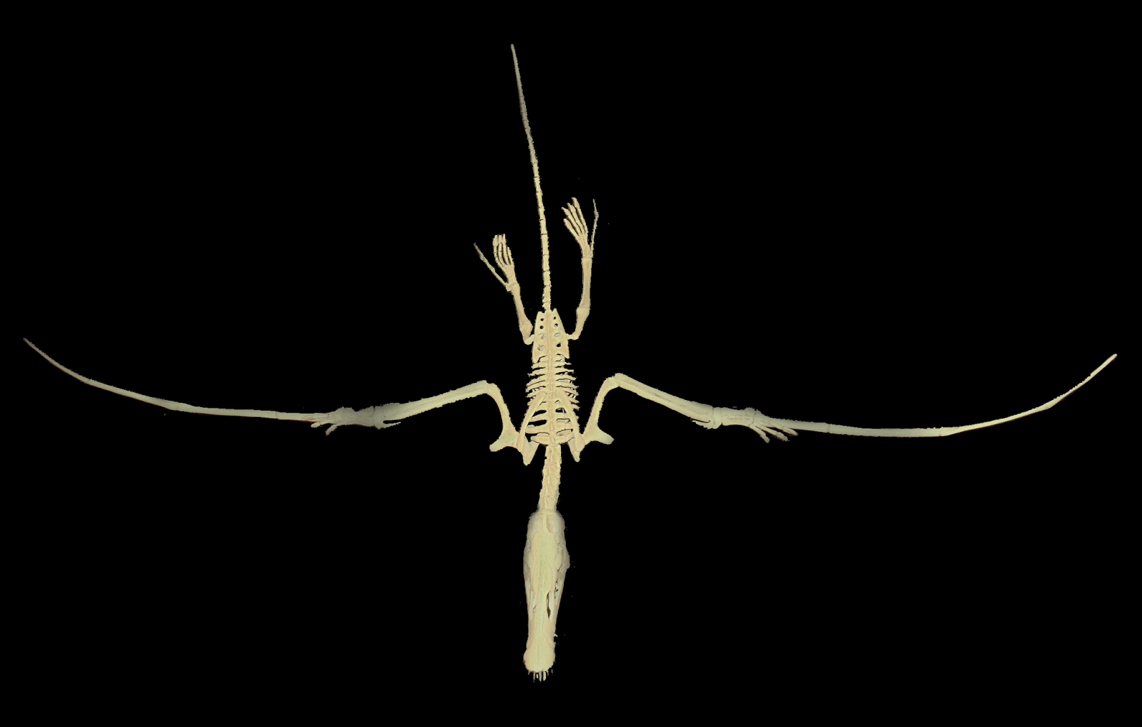 The Expeditioner's Discovery Guild: A little bit of Everything: Museums ...