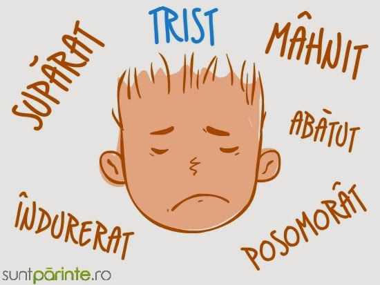 Cabinet Individual de Psihologie, Ruxandra Marcu - Sibiu: Cum il inveti ...