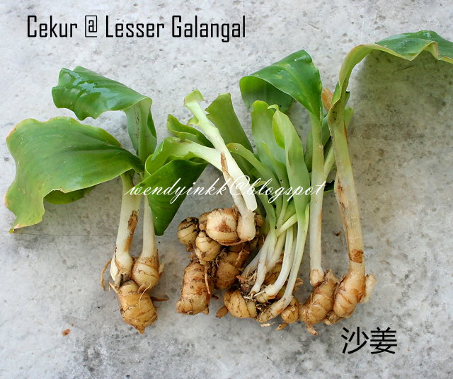 Table for 2.... or more: Penang Nyonya Hong Bak (Braised Pork with ...