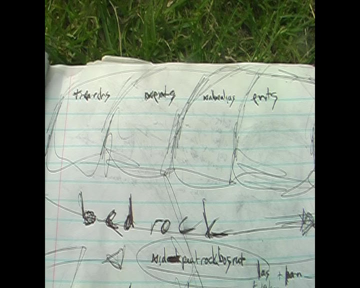 angolan prosthetics: 'sagte droë rooi' (soft dry red)