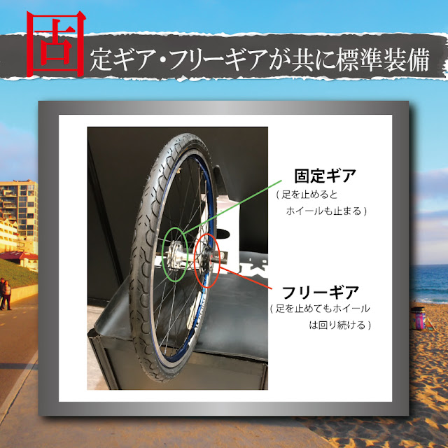 MASI製品特長: 数量限定【 MINI VELO FIXED