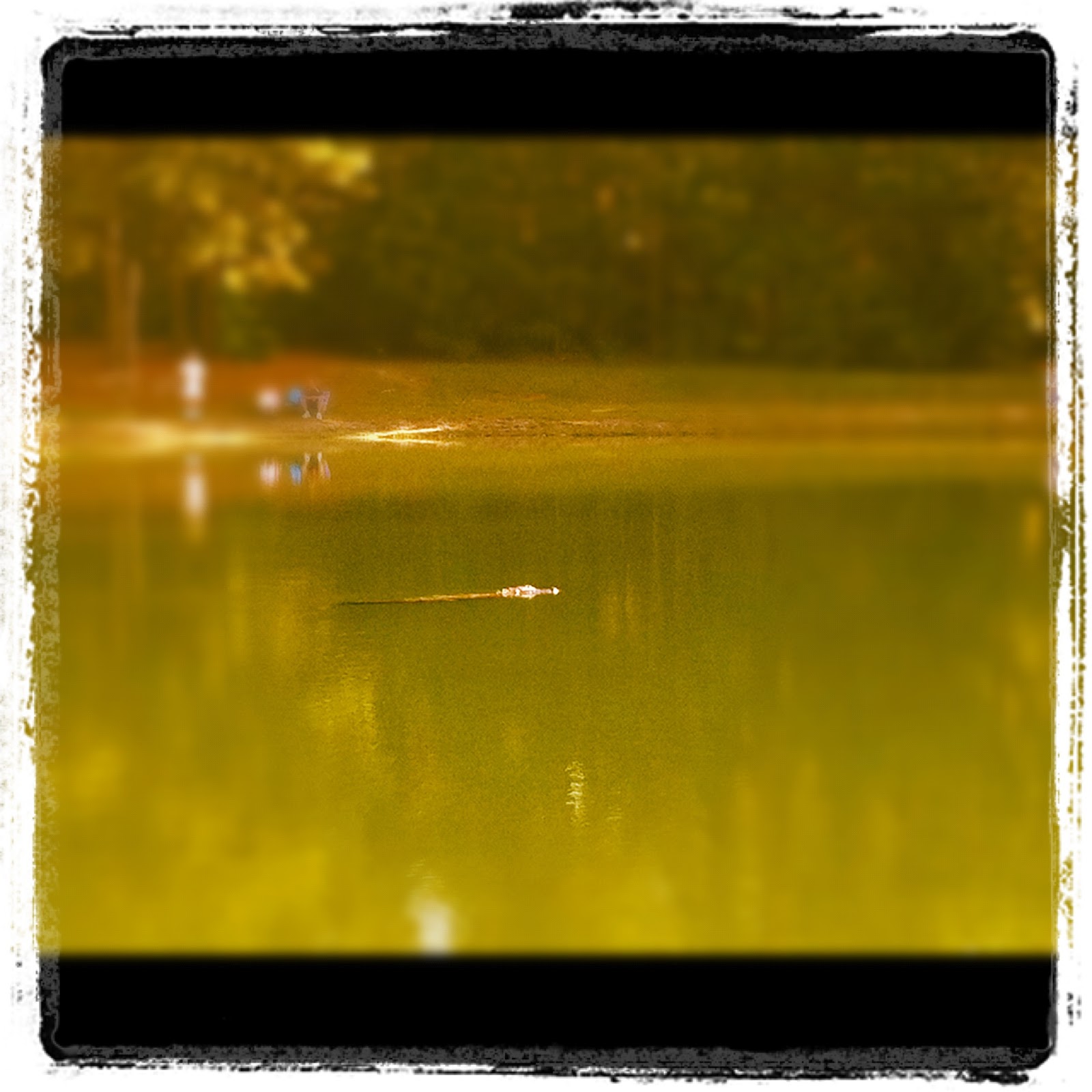 Savvy Beauty: My Summer on Instagram!