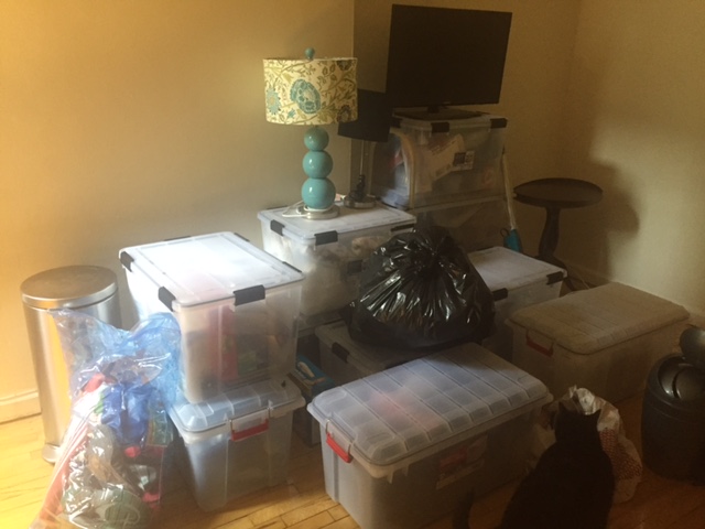 Not Without My Helmet!