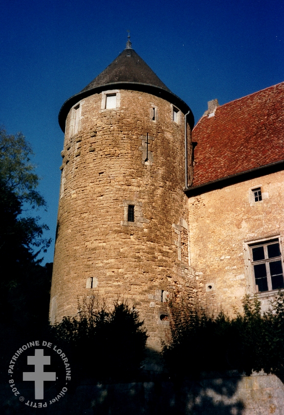 PATRIMOINE DE LORRAINE: MANONVILLE (54) - Château-fort