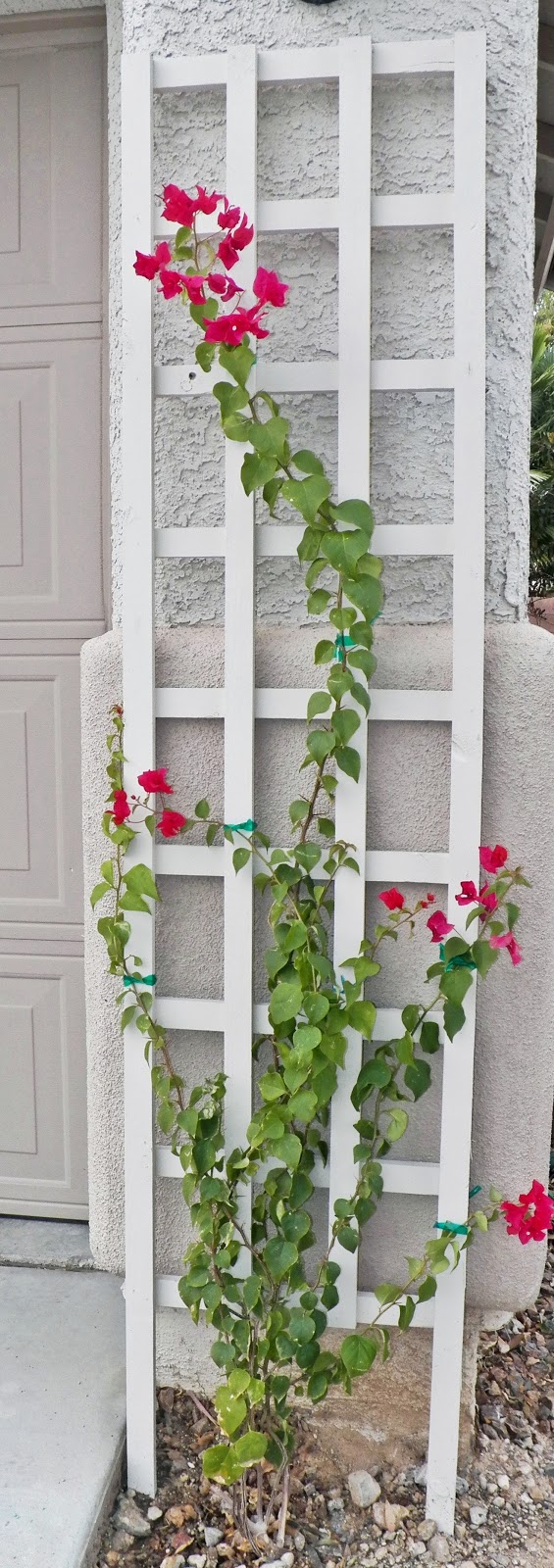 Mom the Builder: Easy Vine Trellis