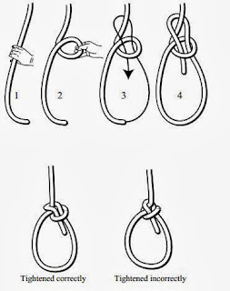 Some Basic Important Knots