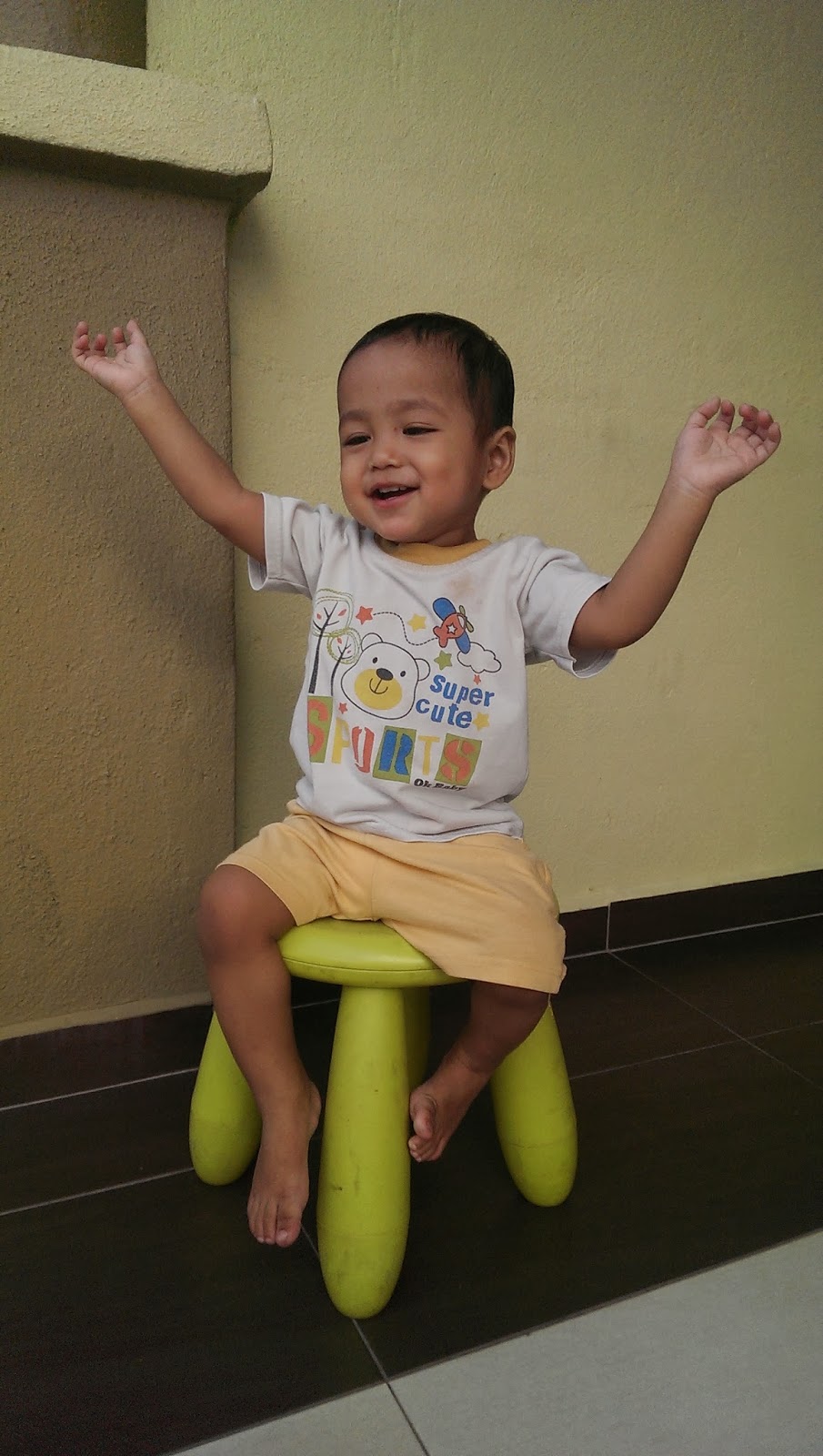 Journey of Aqil and Aqlan