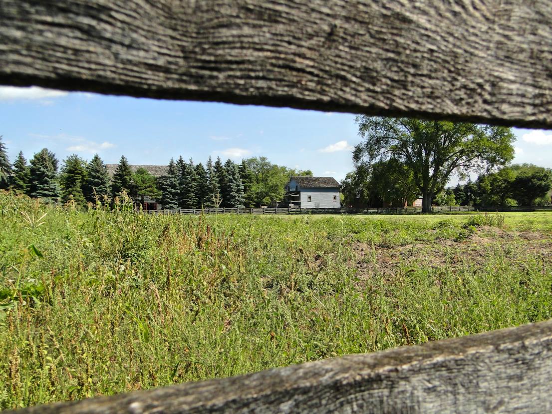 Passion for the Past: A Year on a Colonial Farm: Living By the Seasons