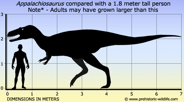 The Expeditioner's Discovery Guild: A little bit of Everything: Paleo ...