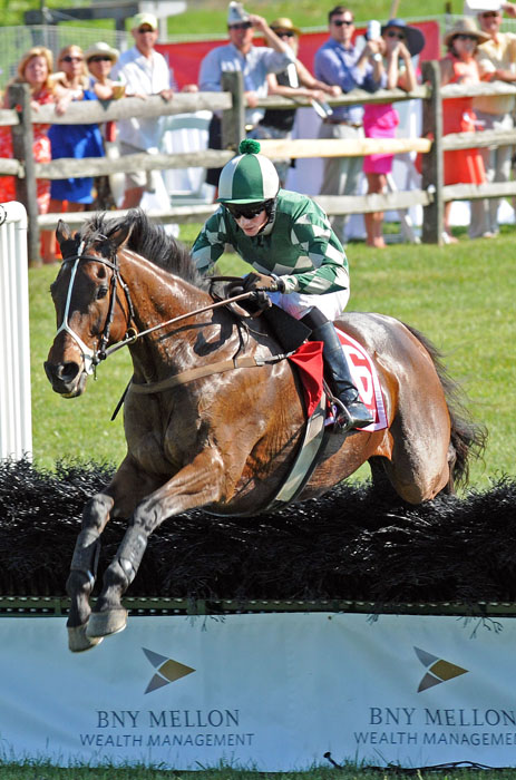 Tom Kelly IV - Recent Works: The 2012 Radnor Hunt Races