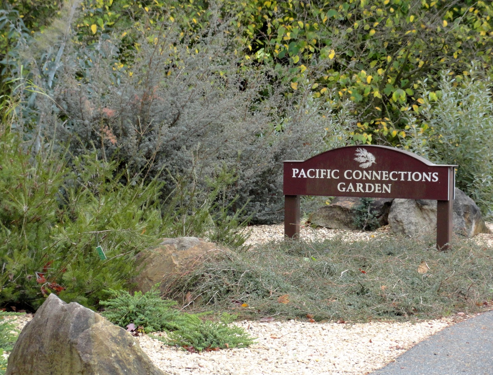 danger garden: The Pacific Connections Garden at the Washington Park ...