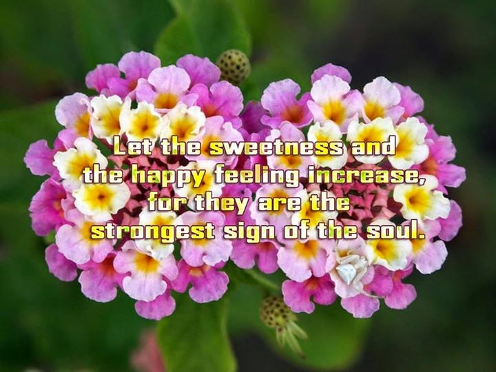 LET THE SWEETNESS AND THE HAPPY FEELING INCREASE, FOR THEY ARE THE ...