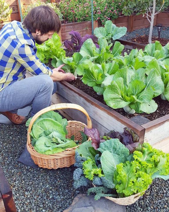 La Maison Boheme: My Favorite Backyard Farm on Instagram