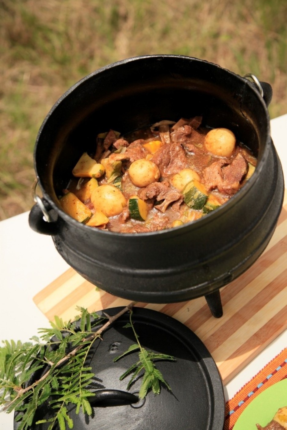 In en om die huis: Beesvleispotjie