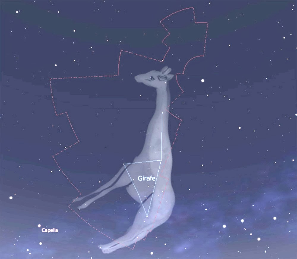 La constelación de la Jirafa. Una constelación casi invisible ~ Tot ...