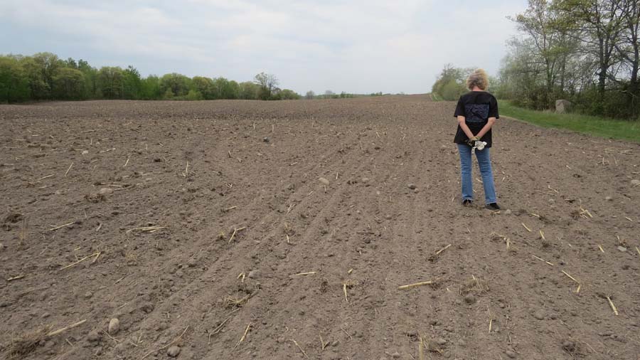 The Agatelady: Adventures and Events: Farm Field Agate Hunting