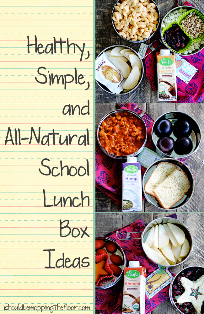 All-Natural School Lunch Box Ideas and Giveaway | i should be mopping ...