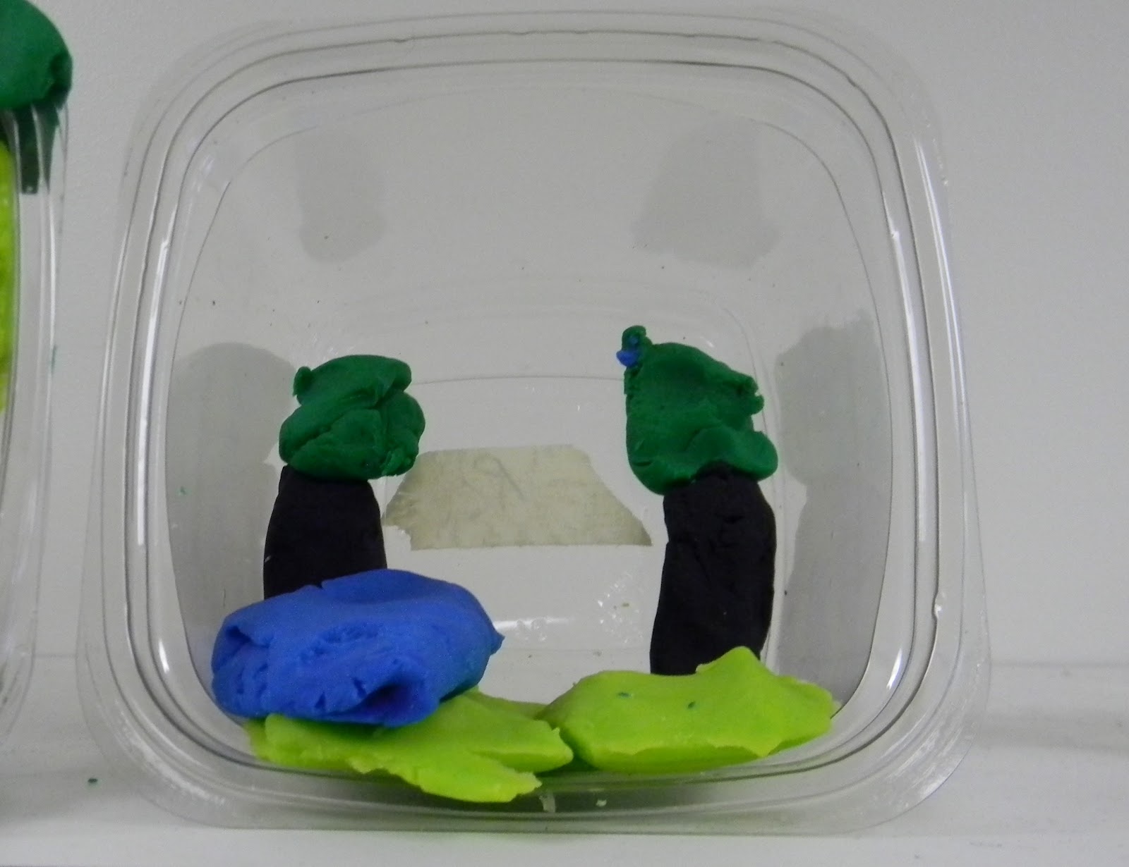 Not Just Child's Play: Challenging Young Minds: Rainforest Projects