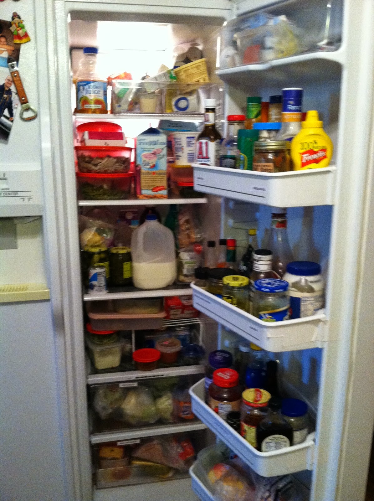 Ms. Nancy's Nook : New Refrigerator - Ways to Save!