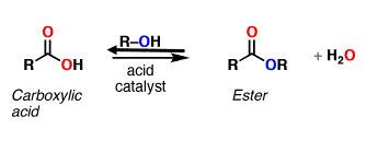 Fischer Esterification