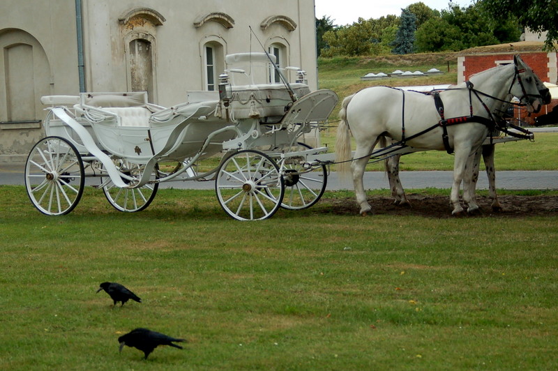 I tu i tam....Y aqui y alla: Grobowiec-piramida, ruina zamku i Perła ...