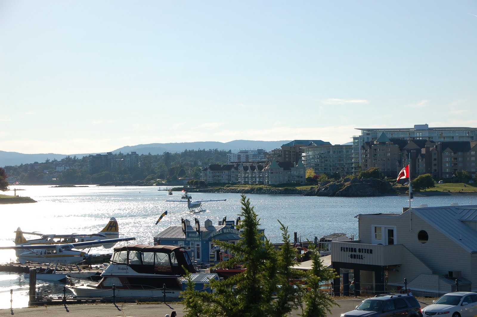 Ryu リュー: Alaska Cruise: Day 7, Victoria