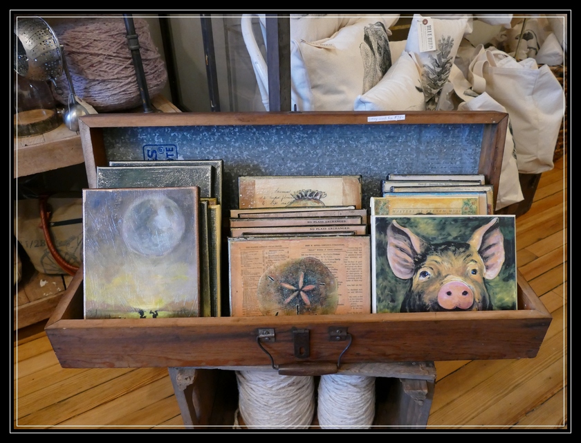 Passion - When you Reach for the Stars but Touch the Moon - The Shelly ...