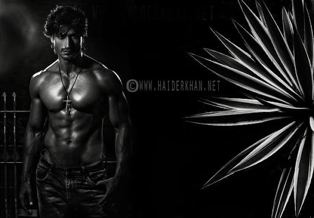 Shirtless Bollywood Men: Vidyut Jamwal