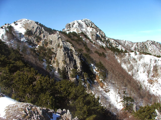 POLLINOFANTASTICO: Montea, ode alla bellezza