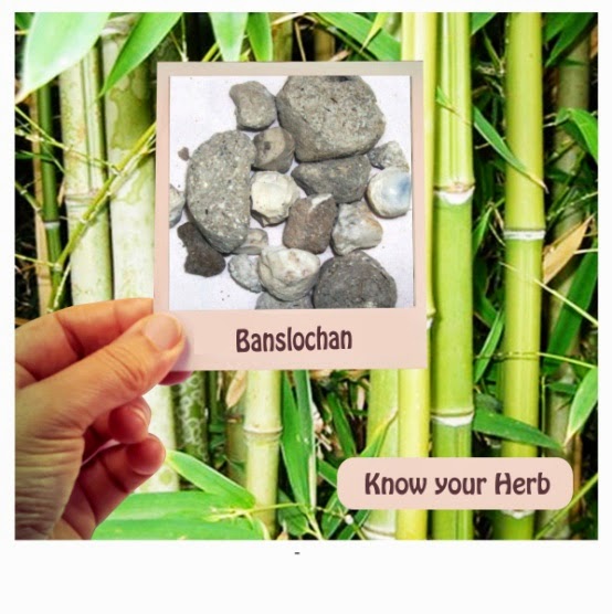 Banslochan –The Bamboo Silica ~ Salveo Life Sciences