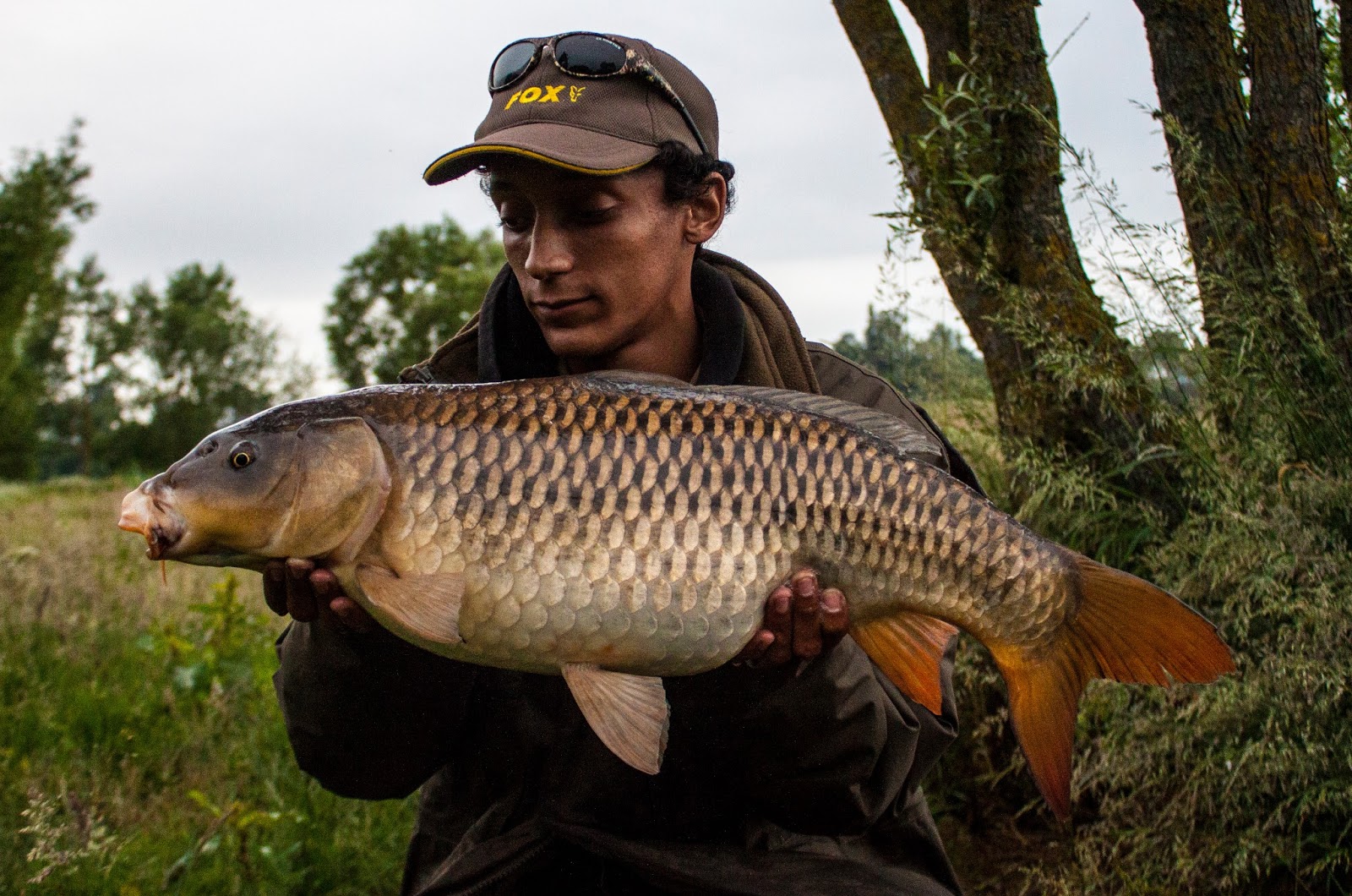 Adroit Angler: Common Occurrence