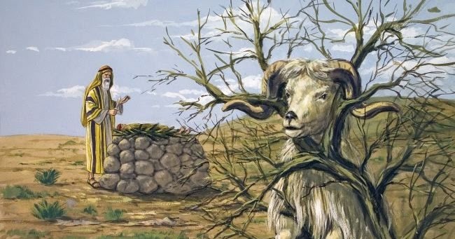 A Ram in the Thicket