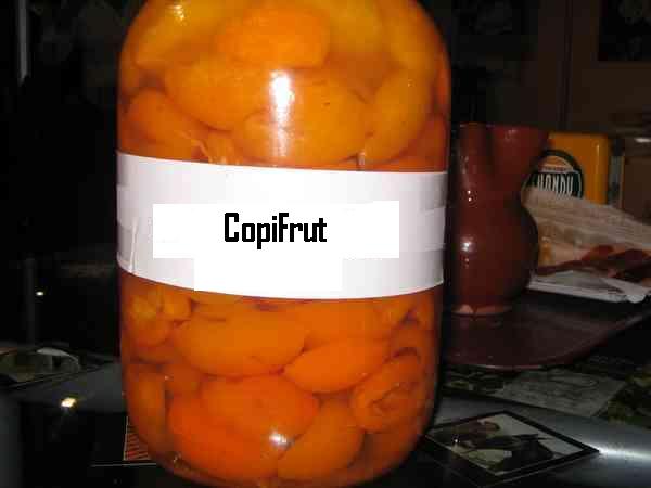 Industrializadora de frutas exóticas del Trópico: Copite